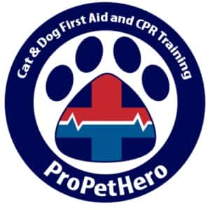 Pet CPR And First – We R CPR